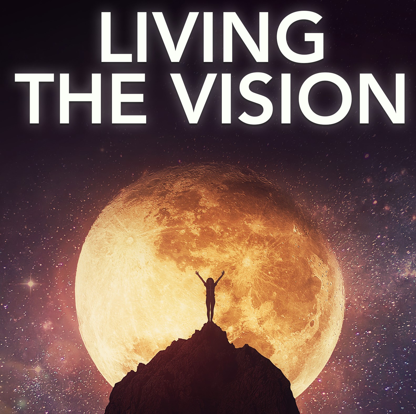 Living The Vision - Living The Vision